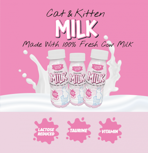 Cat & Kitten Milk | Cindy's Recipe